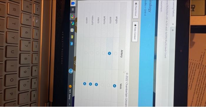 edapt.ai Learning Platform e ( Mail mariachiazok... | Chegg.com