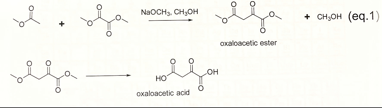 Solved Oxaloacetic Acid Is An Important Molecule In The