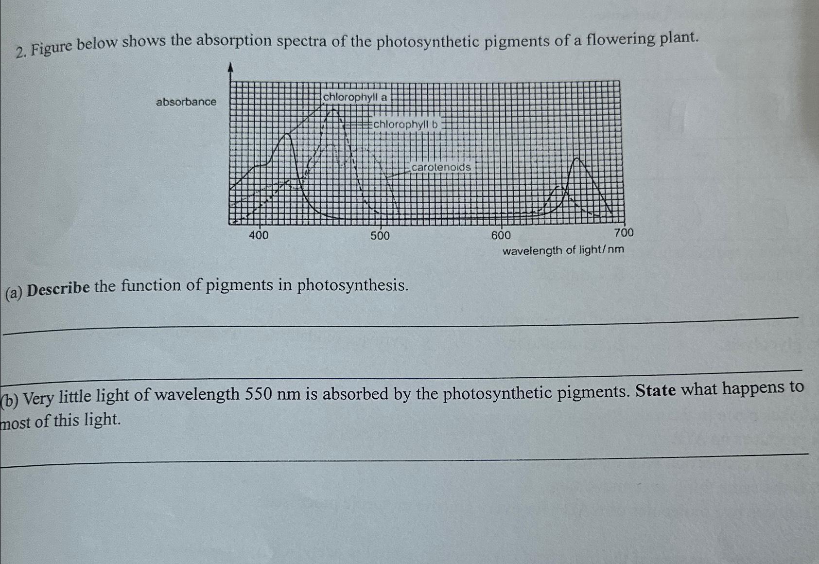 Solved Figure below shows the absorption spectra of the | Chegg.com