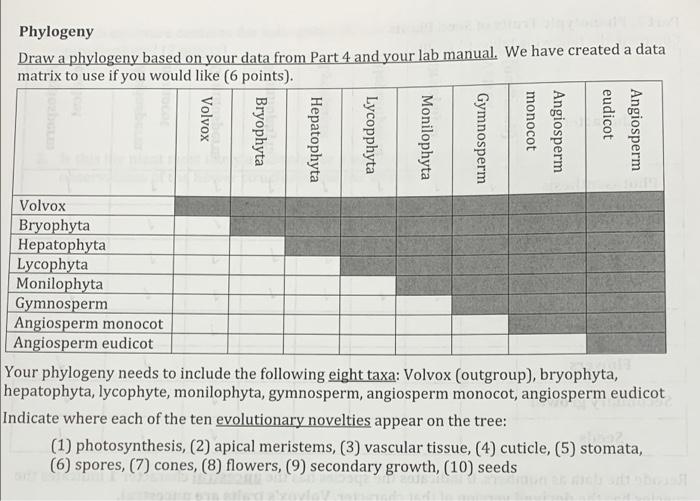 Solved Phylogeny Draw a phylogeny based on your data from | Chegg.com
