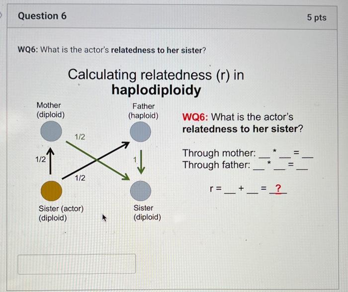 Solved WQ6: What is the actor's relatedness to her sister? | Chegg.com