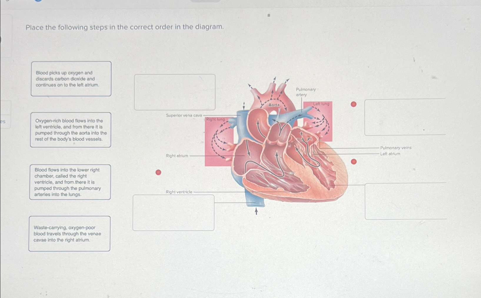 Solved Place the following steps in the correct order in the | Chegg.com