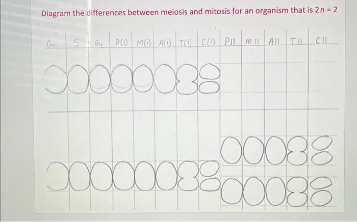 50000088 5000000800038 100000088 | Chegg.com