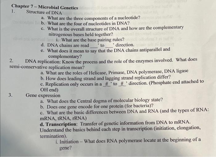 Solved Chapter 7-Microbial Genetics 1. Structure of DNA a. | Chegg.com