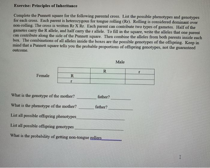 Solved Exercise: Principles of Inheritance Complete the | Chegg.com