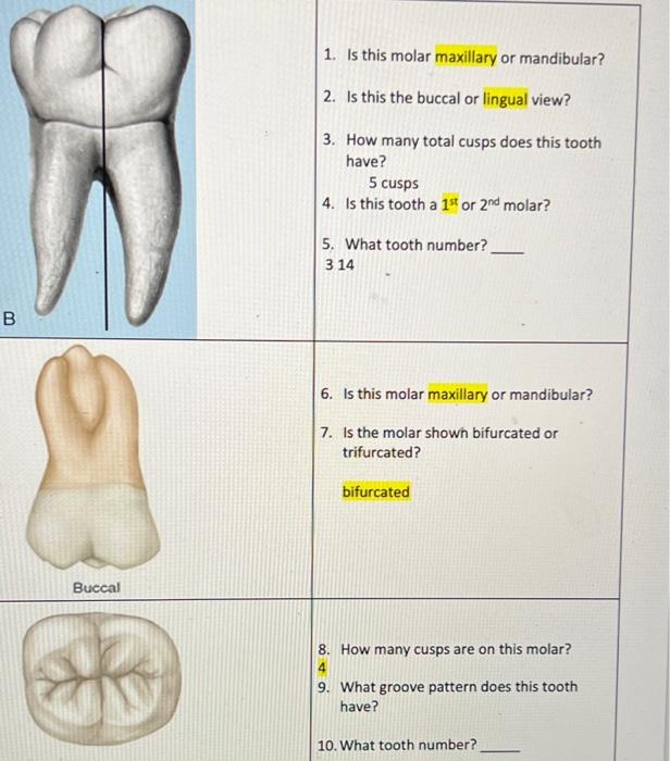 Solved please answer and double check all questions | Chegg.com