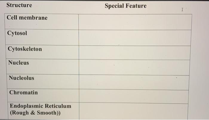 Solved Structure Special Feature I Cell membrane Cytosol | Chegg.com