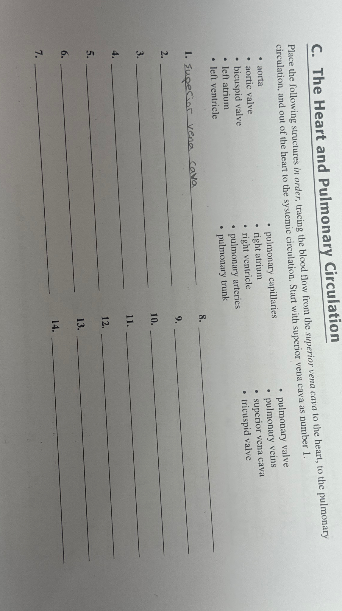 Solved Explain why in order with video on each one | Chegg.com