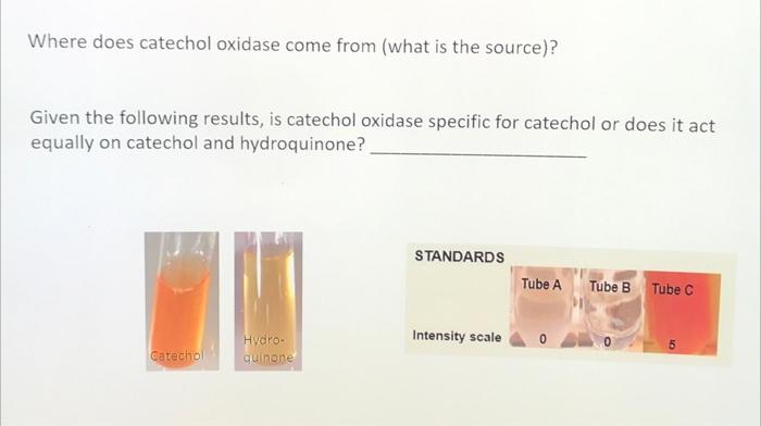 Solved Where does catechol oxidase come from (what is the | Chegg.com
