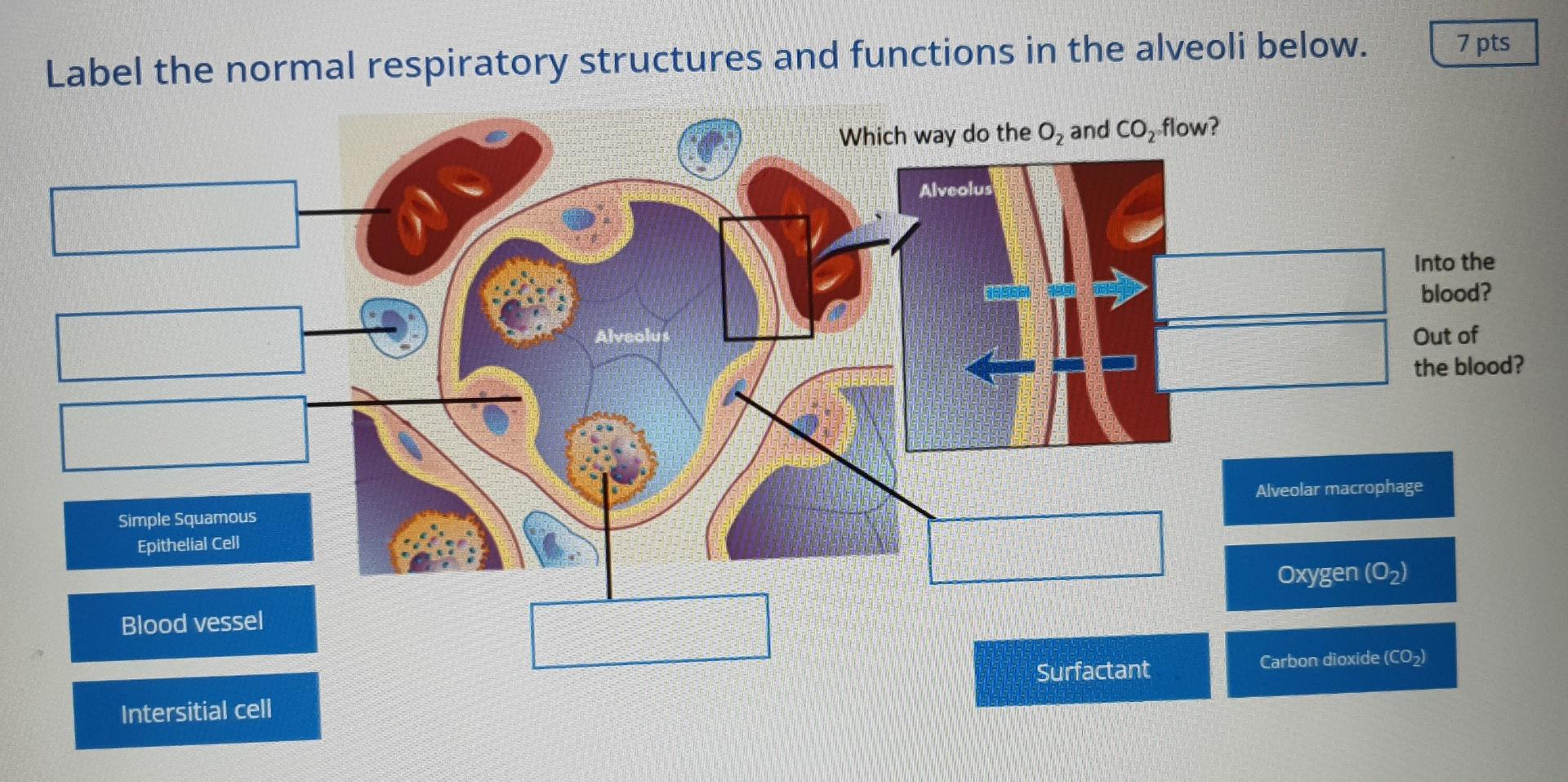 Solved Watch the following etiologies to their definition. 5 | Chegg.com