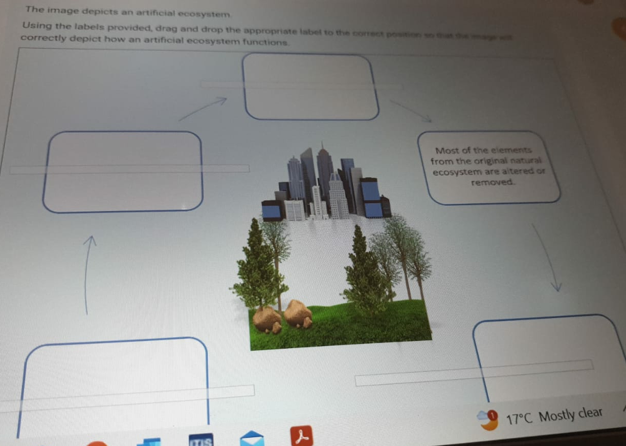 Solved The image depicts an artificial ecosystem correctly | Chegg.com