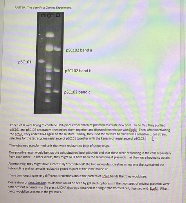 Solved PART IV. The Very First Coning Experiment. Cohen et | Chegg.com