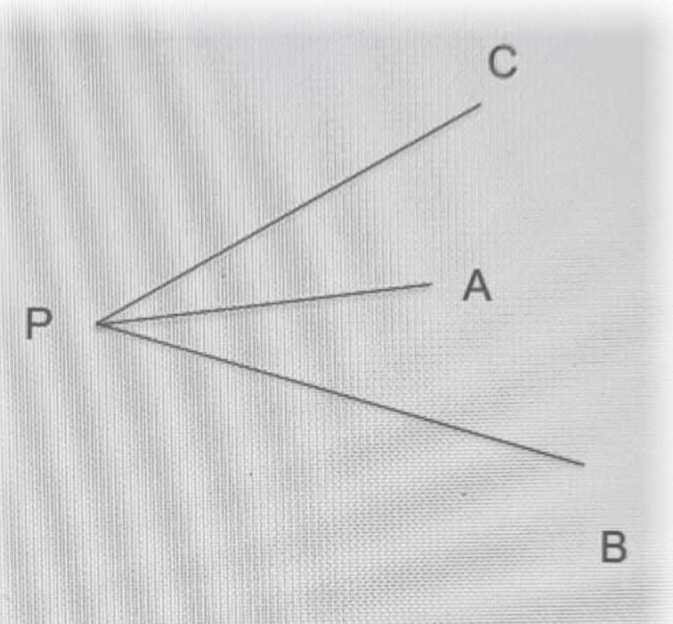 In order to calculate the coordinates of point P, the | Chegg.com