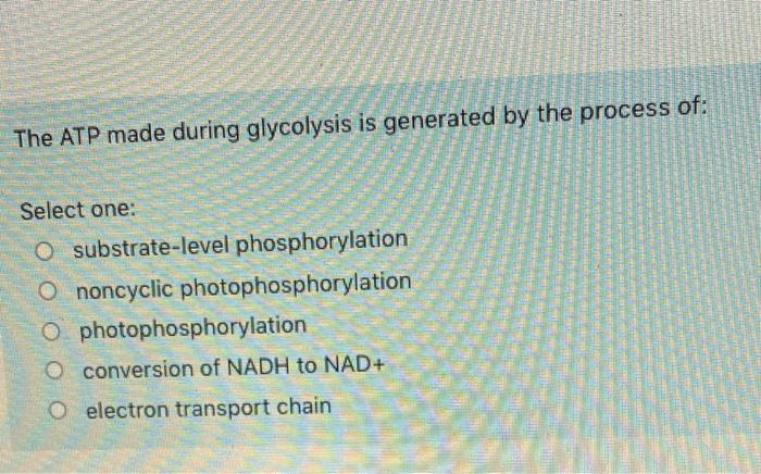 Solved The ATP made during glycolysis is generated by the | Chegg.com