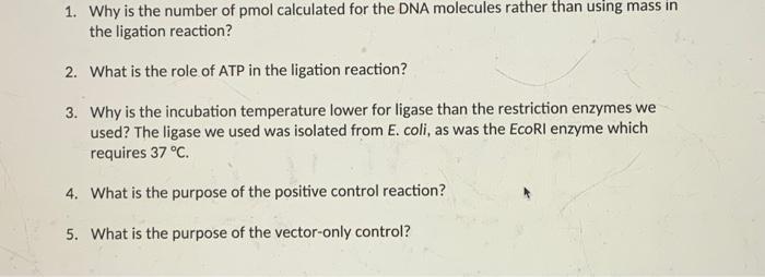 Solved 1. Why is the number of pmol calculated for the DNA | Chegg.com
