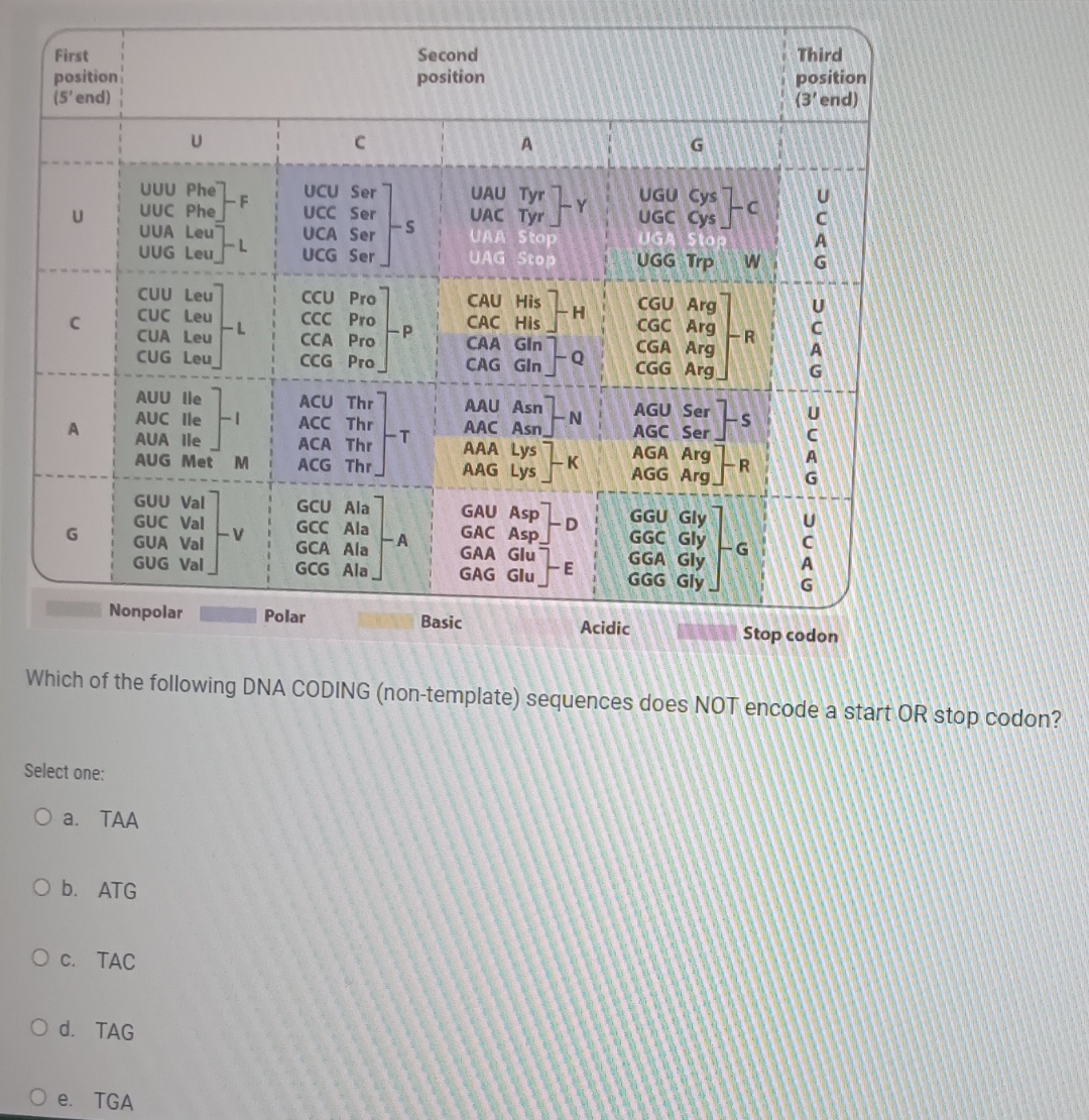 Solved Question | Chegg.com