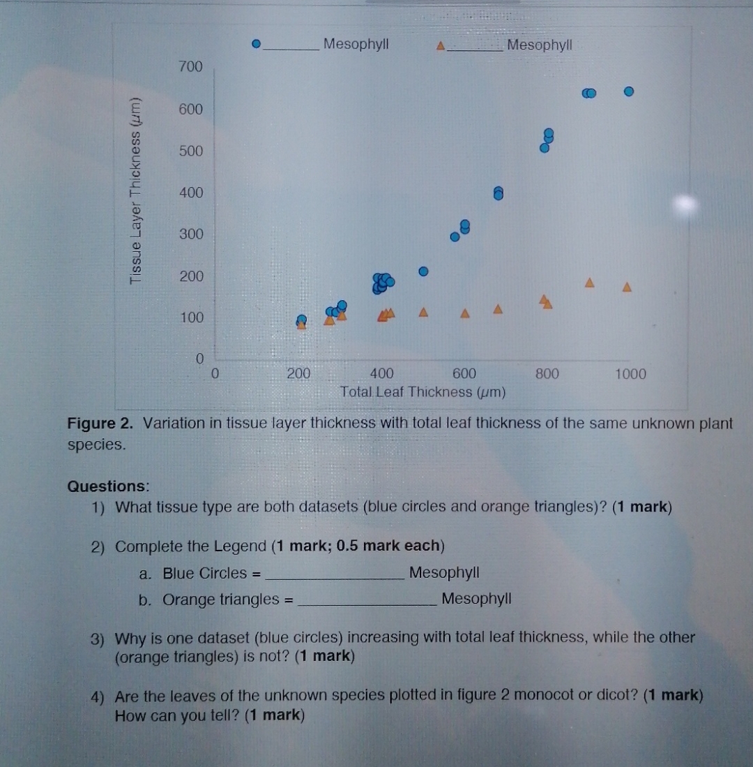 Solved Figure 2. ﻿Variation in tissue layer thickness with | Chegg.com