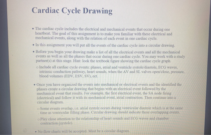 Solved Cardiac Cycle Drawing • The cardiac cycle includes | Chegg.com