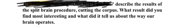 Solved Ca m era describe the results of the split brain | Chegg.com
