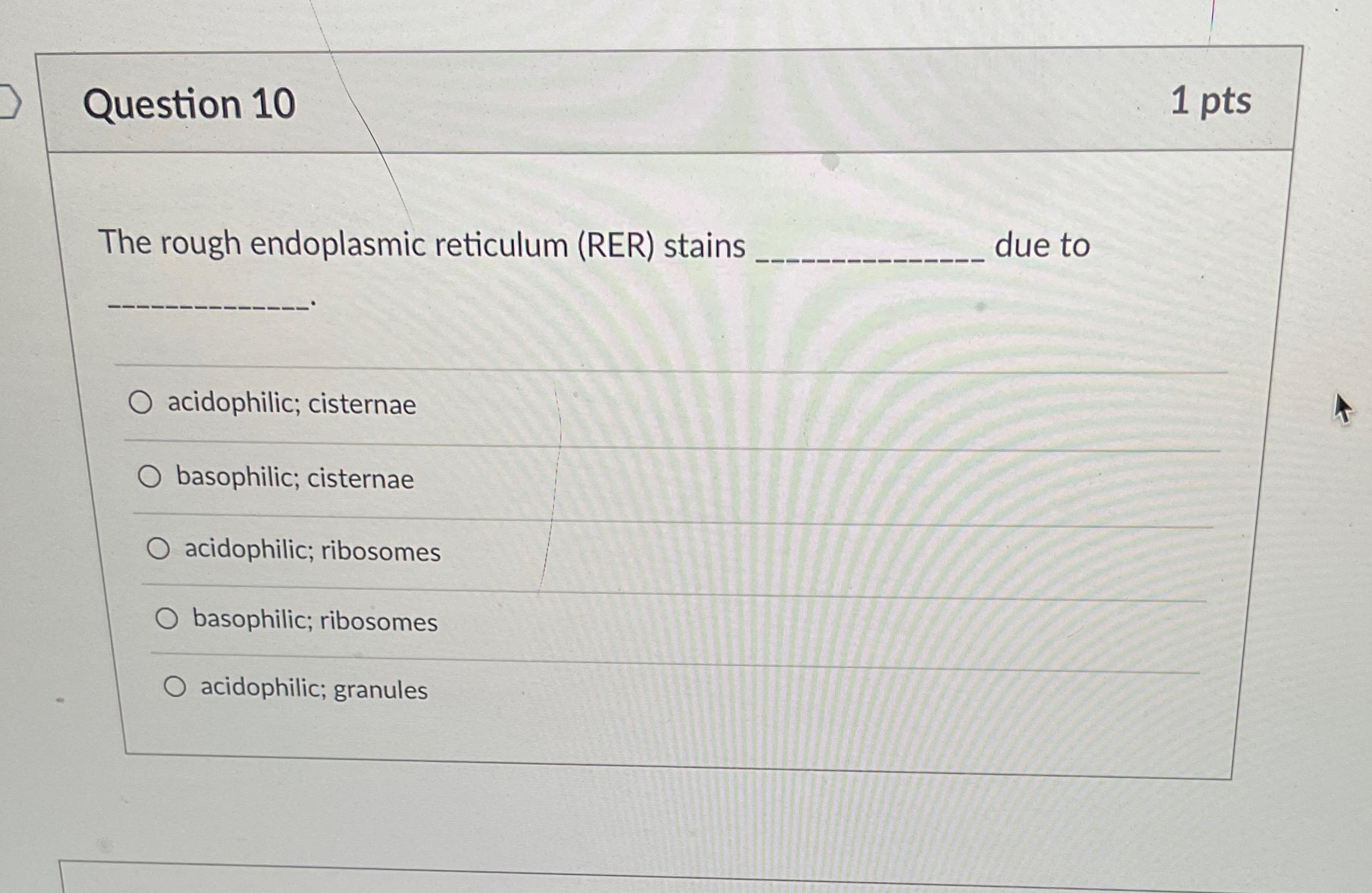 Solved Question 101 ptsThe rough endoplasmic reticulum | Chegg.com Solved Question 101 ptsThe rough endoplasmic reticulum | Chegg.com