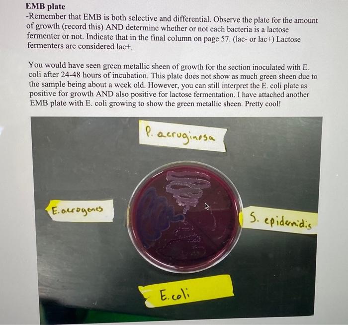 Solved GSA plate -observe the growth of each organism on the | Chegg.com