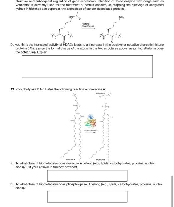 Solved 10. Referring to the molecules in exercise 9: a. | Chegg.com
