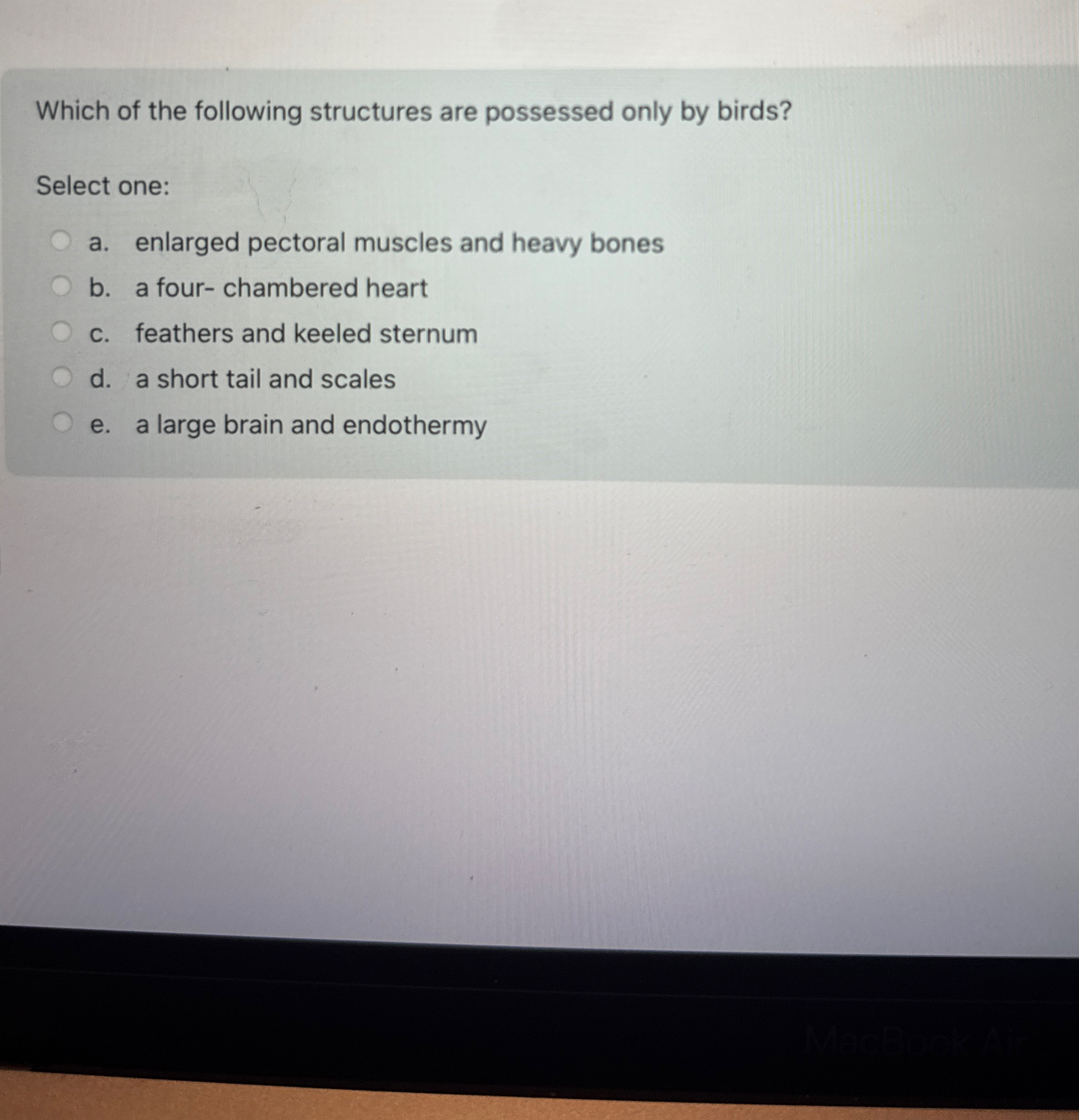 Solved Which of the following structures are possessed only | Chegg.com