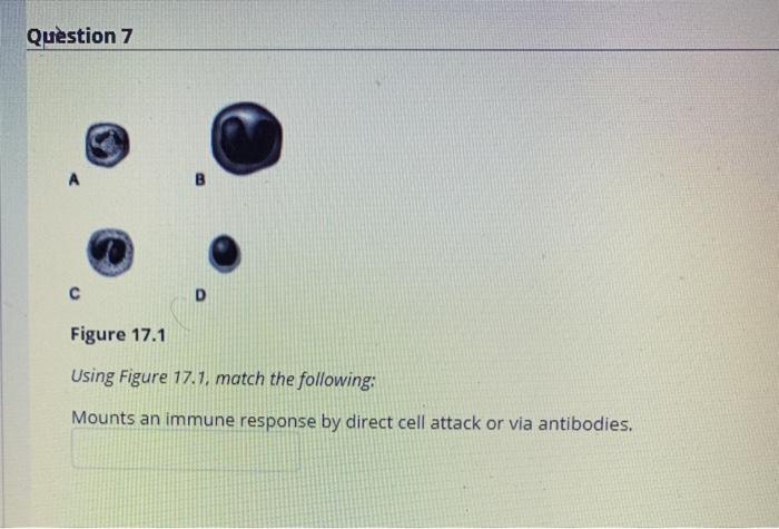Solved Question 7 B С D Figure 17.1 Using Figure 17.1, match | Chegg.com