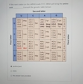 If the next codon on the mRNA reads CCC ANNA2 ﻿will | Chegg.com