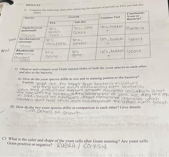 Solved RESULTS 1) Complete the following chart affer | Chegg.com