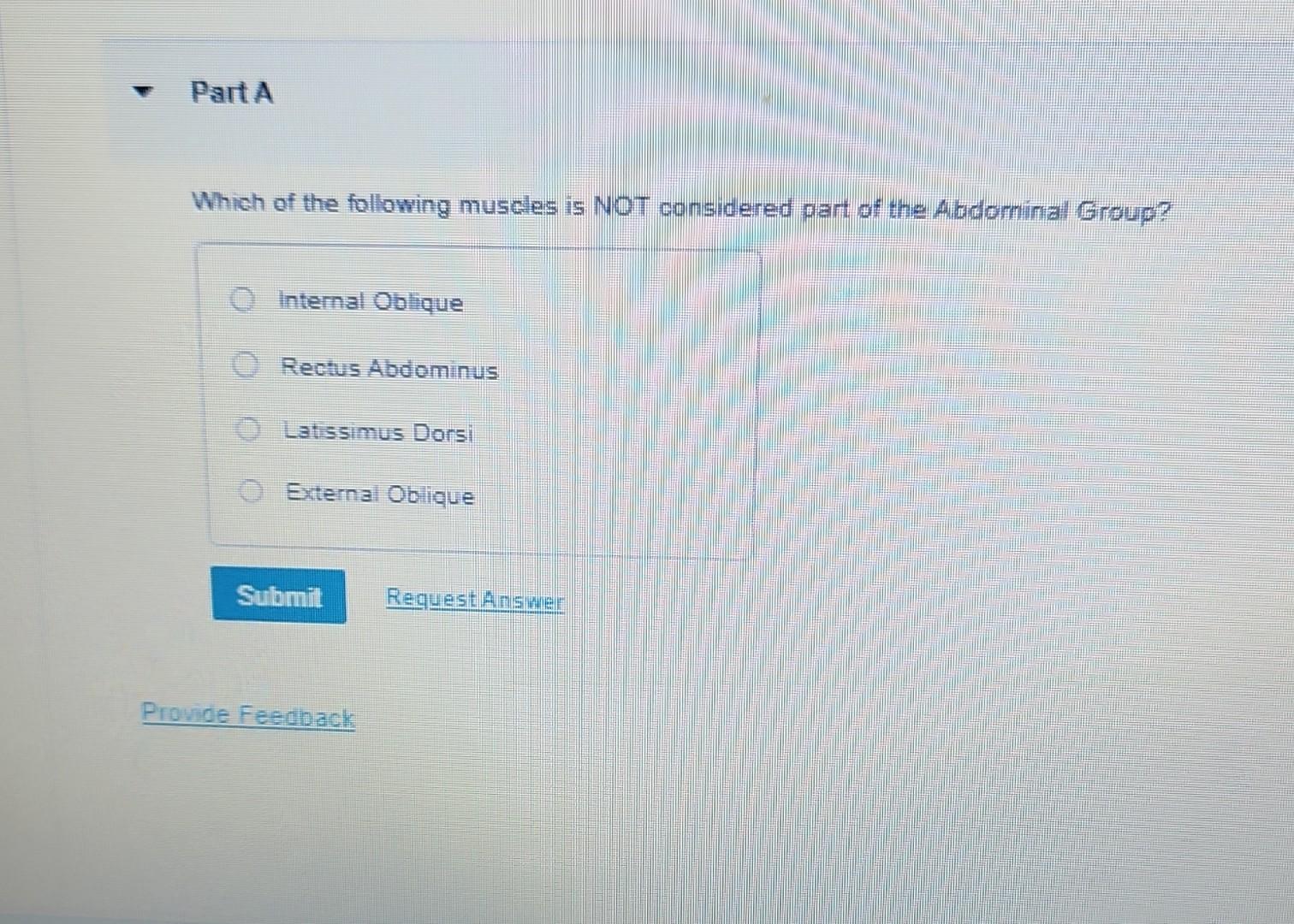 which of the following muscles is not considered part | Chegg.com