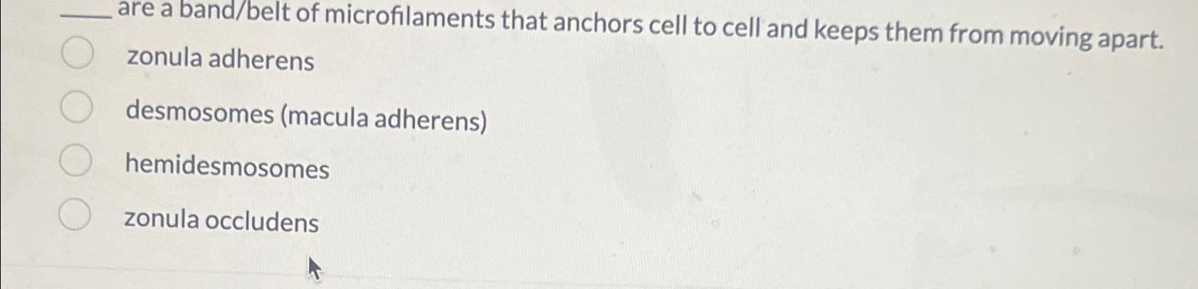 Solved are a band/belt of microfilaments that anchors cell | Chegg.com
