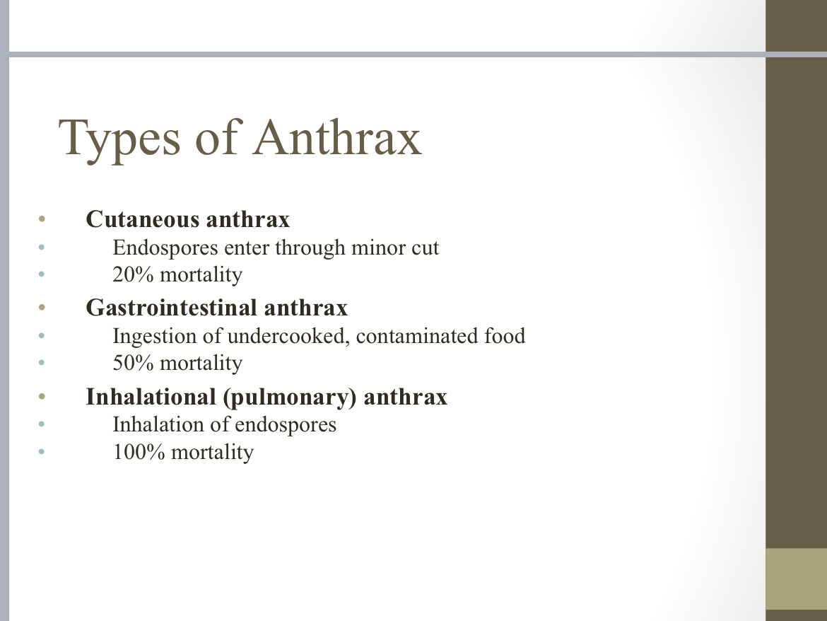 High Quality SOLUTION Types of AnthraxCutaneous anthraxEndospores enter ...