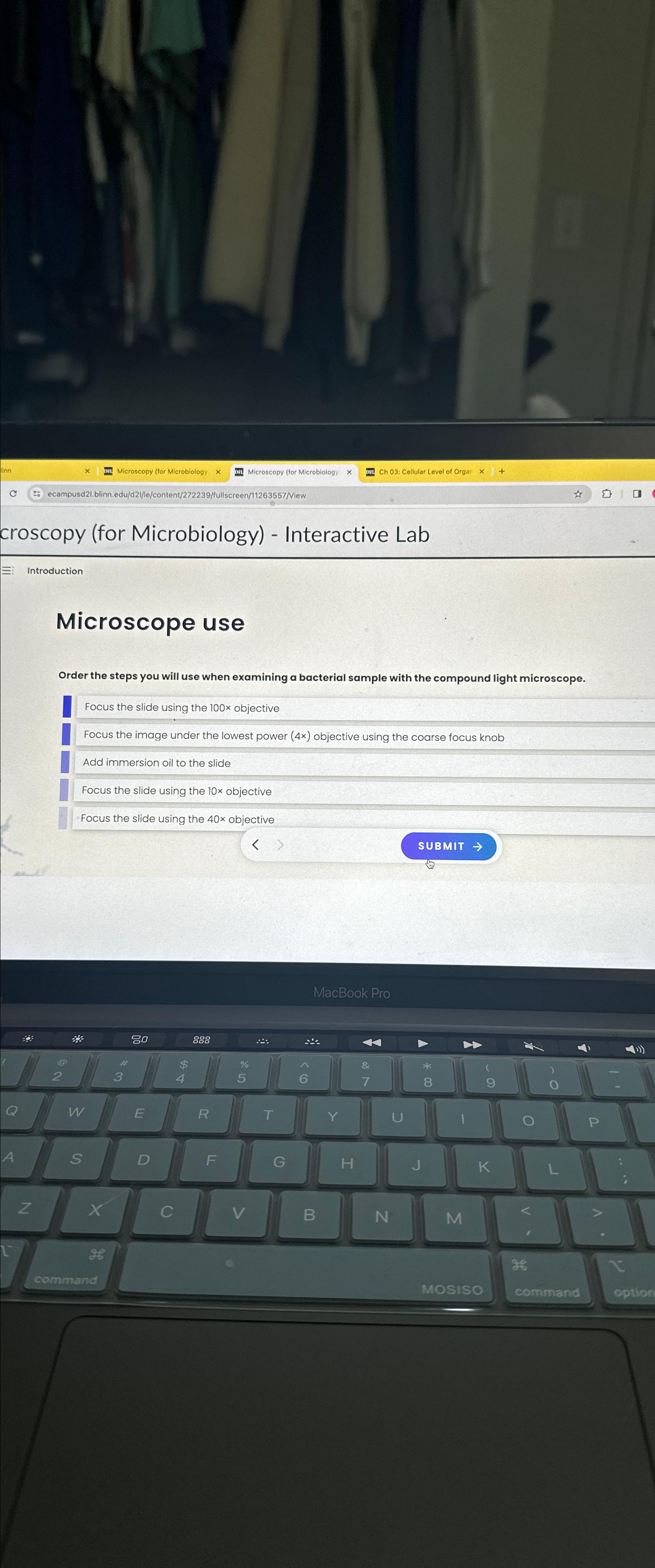 Solved croscopy (for Microbiology) - ﻿Interactive Lab-=, | Chegg.com