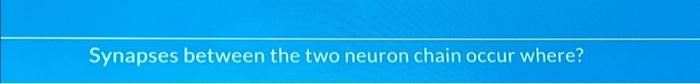 Solved Synapses between the two neuron chain occur where? | Chegg.com
