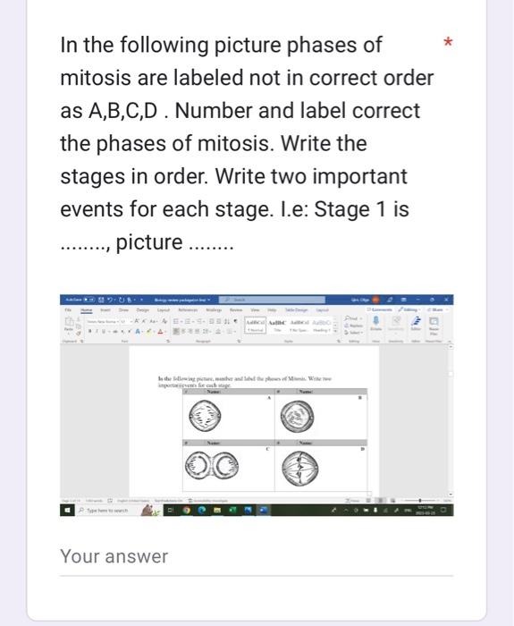 Solved In the following picture phases of mitosis are | Chegg.com