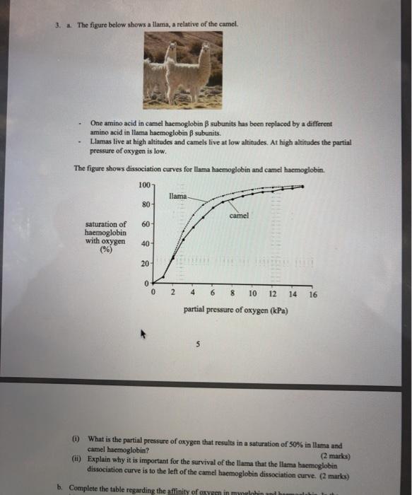 Solved 3. The figure below shows a llama, a relative of the | Chegg.com
