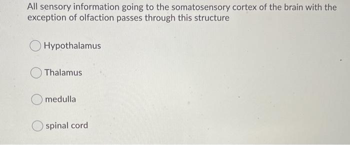Solved The function of transverse tubules is to O store Ca2+ | Chegg.com