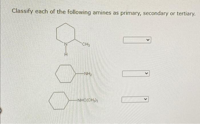 Solved Classify each of the following amines as primary, | Chegg.com