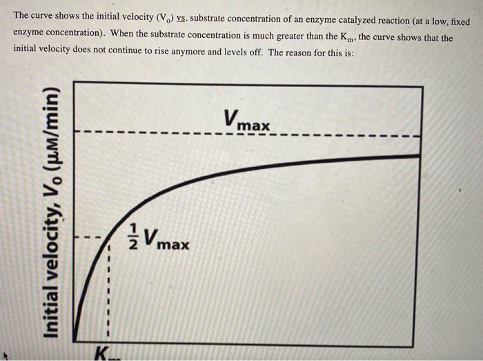 Solved The curve shows the initial velocity (V.) vs. | Chegg.com