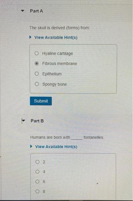 Solved The skull is derived (forms) from: View Available | Chegg.com