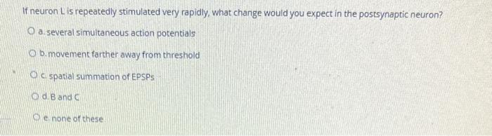 Solved If neuron L is repeatedly stimulated very rapidly, | Chegg.com