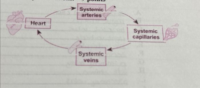 Solved Add to the diagram as best you can to make it depict | Chegg.com