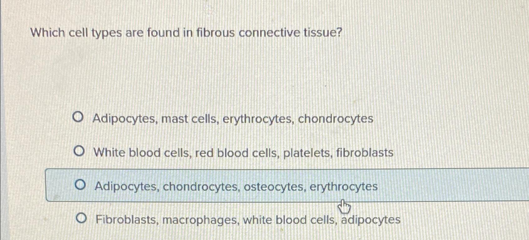 Solved Which cell types are found in fibrous connective | Chegg.com