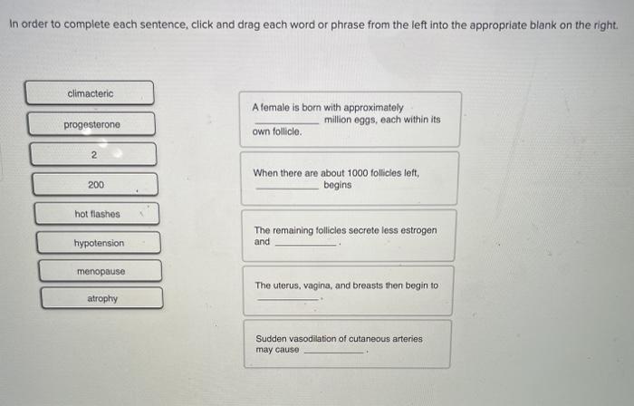 Solved In order to complete each sentence, click and drag | Chegg.com