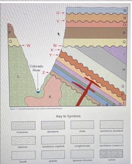 Solved Exercise Determining Relative Ages Exercise 1 | Chegg.com