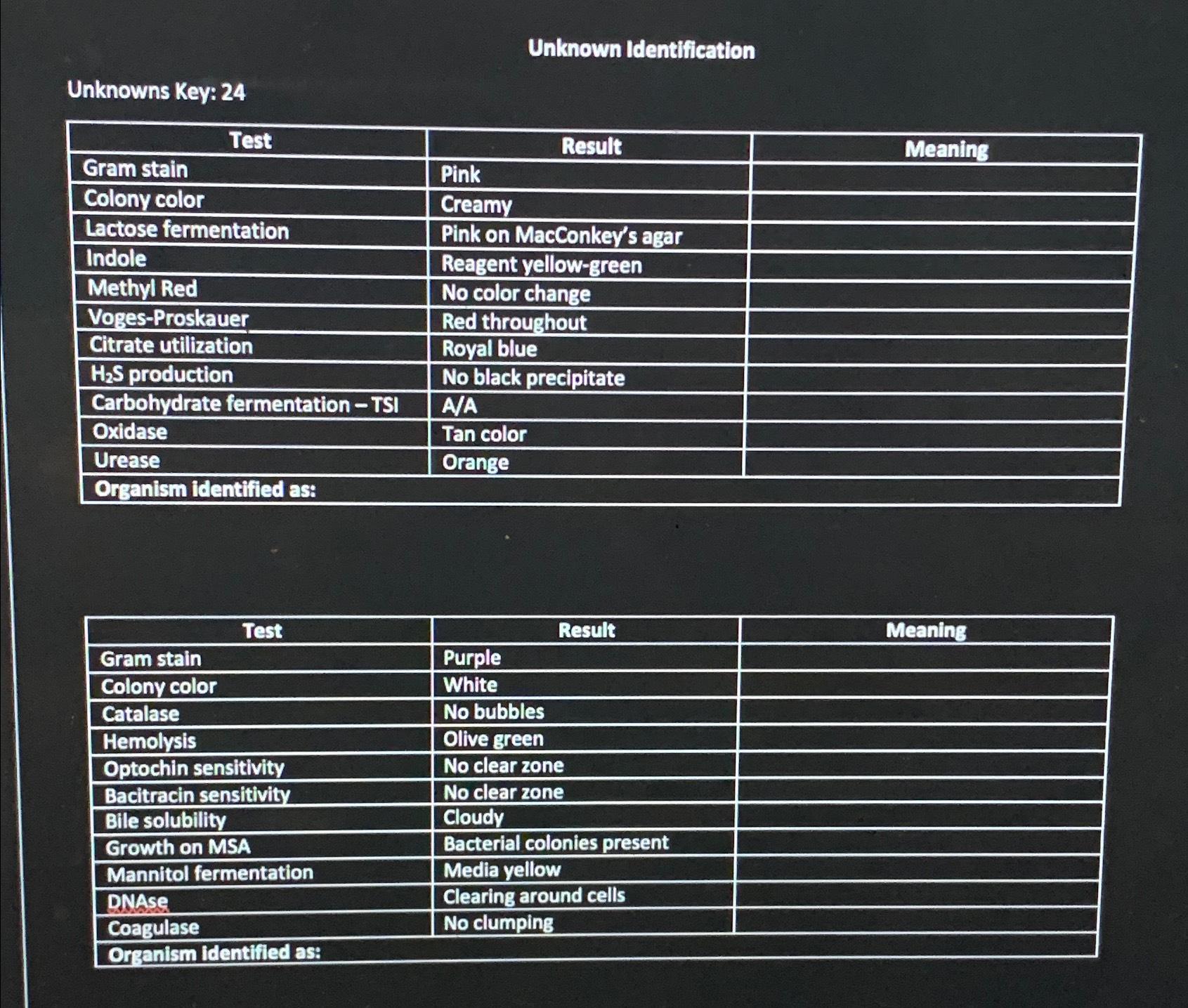 Solved Unknown IdentificationUnknowns Key: | Chegg.com