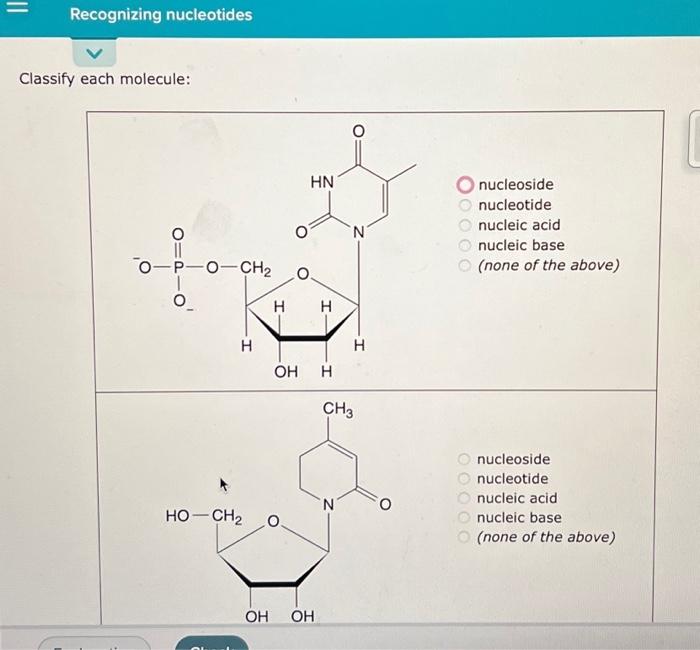 Solved Classify each molecule: Recognizing nucleotides | Chegg.com