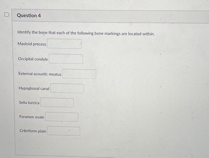 Solved identfiy thr bone that each of the following bone | Chegg.com