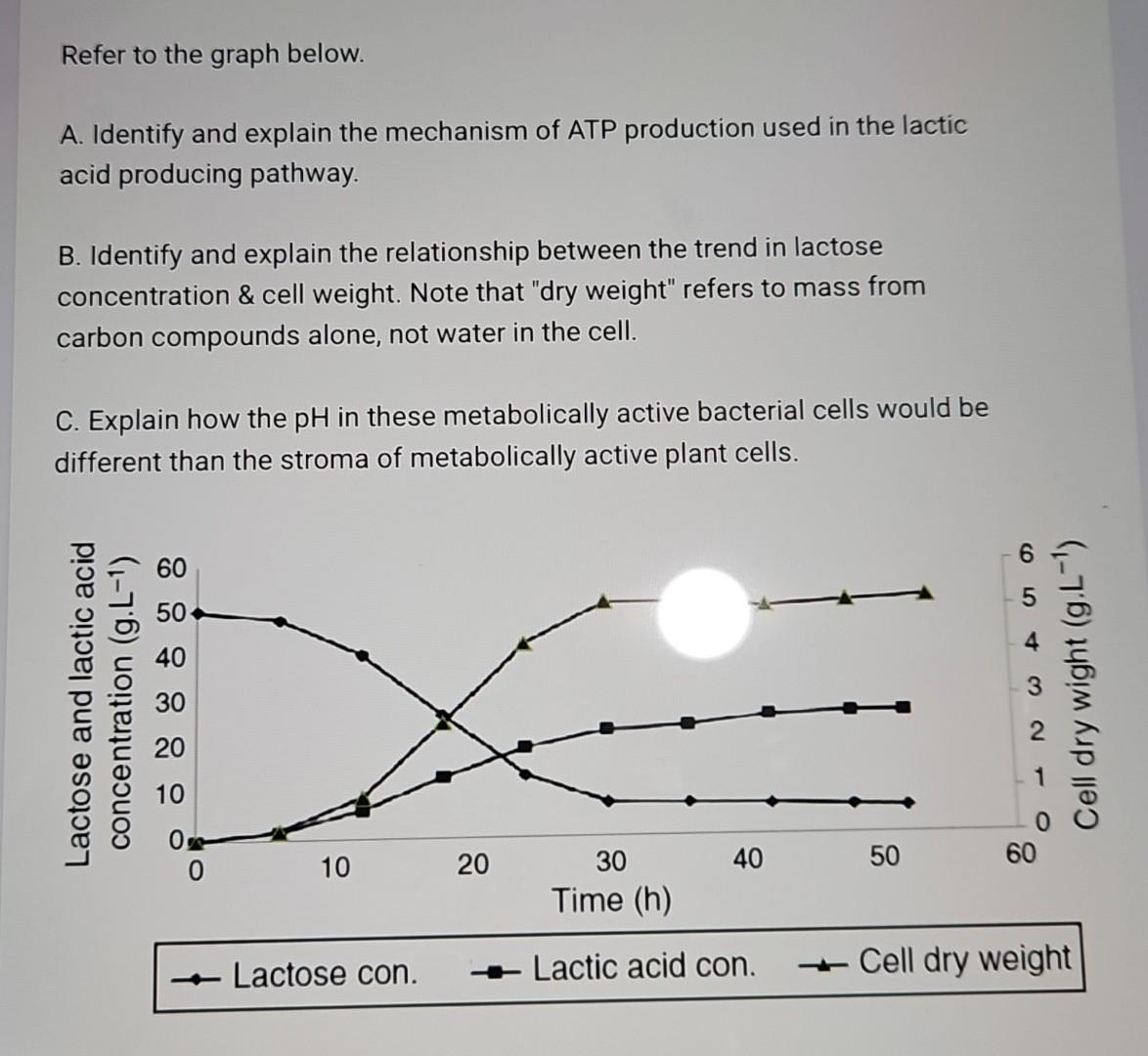 Solved Refer to the graph below. A. Identify and explain the | Chegg.com